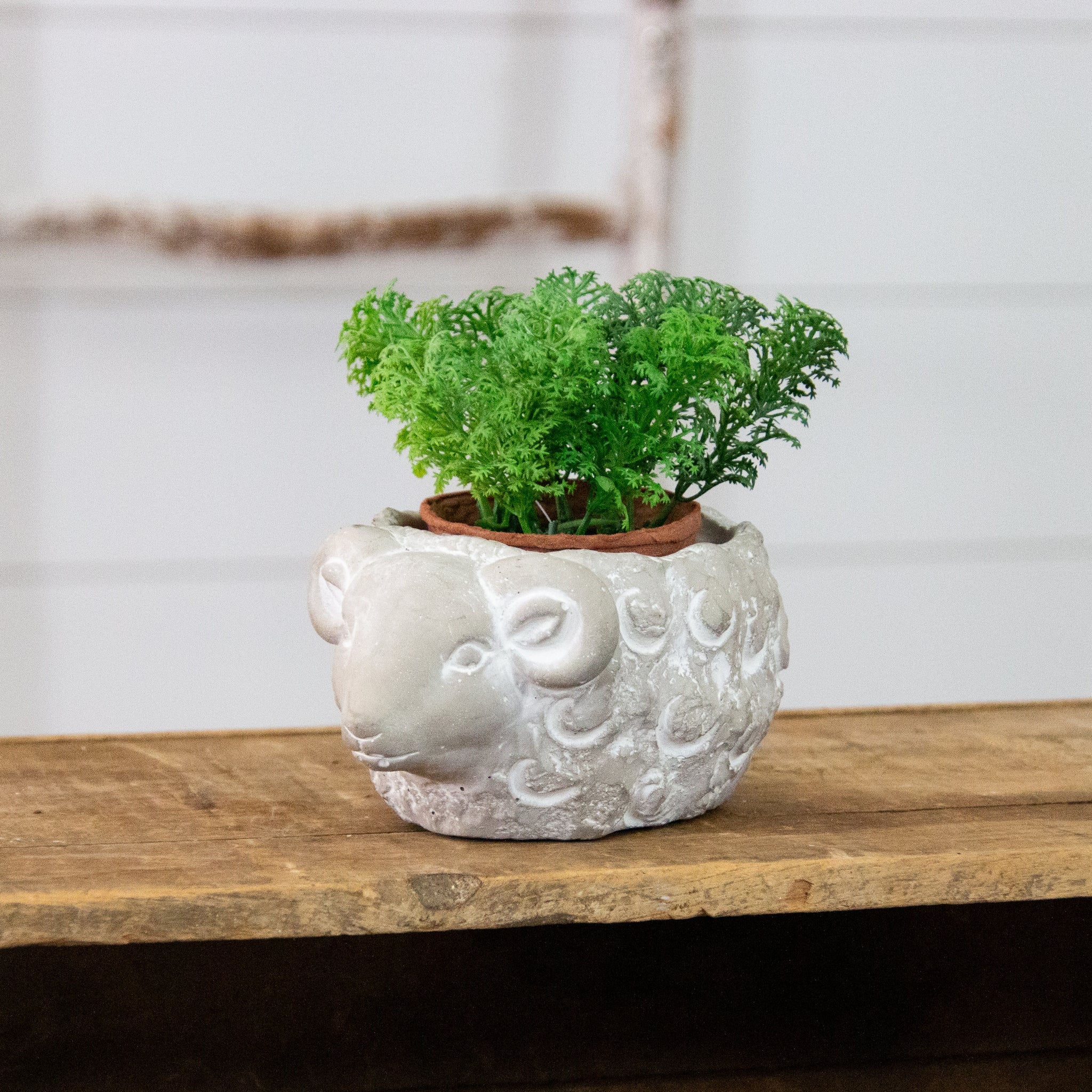 Cement Planter - Ram